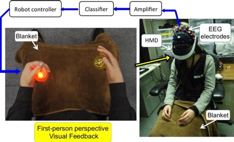 Figure 1 From The Effect Of Feedback Presentation On Motor Imagery