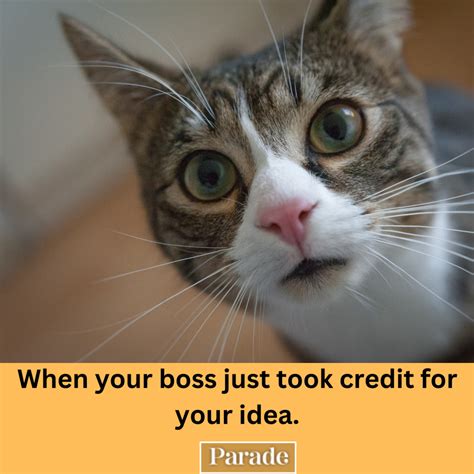 85 Funny Work Memes Parade