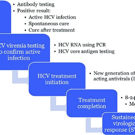 Steps Of Hepatitis C Care Cascade In Georgian Hepatitis C Elimination