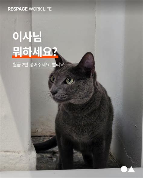 Respace 리스페이스의 두 번째 자체 전시 의 애프터파티 허무는 밤 우리는 변화와 성장을 거듭하며 탈피의 과정을 살아가고 있다 흩어진 좌절과 고통의 파편을 모아