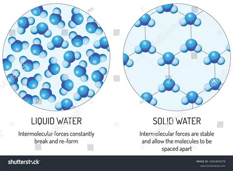 Water Molecules Liquid Evolution Of Model I Water Molecules In Liquid