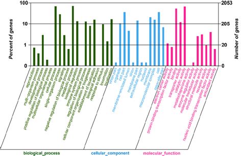 Gene Ontology Go Functional Annotation Of Transcripts All 2 053