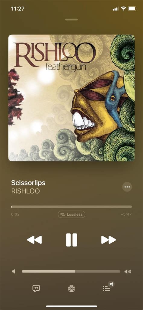 Rishloo And Some Random Bonus Tracks R Soundsliketool