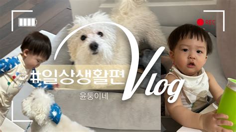 Vlog 토론토 워킹맘 육아 브이로그 짧디 짧았던 자유시간 발만 담그다온 수영장 16개월 아기 눈물의 셀프 미용 강아지 산책 일상생활 비숑타임 Youtube