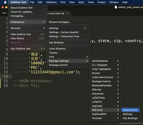 使用sublime的sqltools插件访问mysql的配置方法sqltools Settings Csdn博客