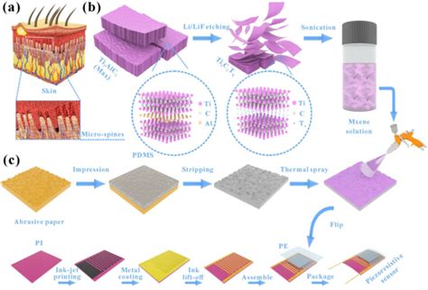 Mxene Ti3c2 Nb2c V2c Mof Nb2c Two Dimensional Materials