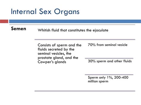 ppt male sexual anatomy and physiology powerpoint presentation free download id 1990899