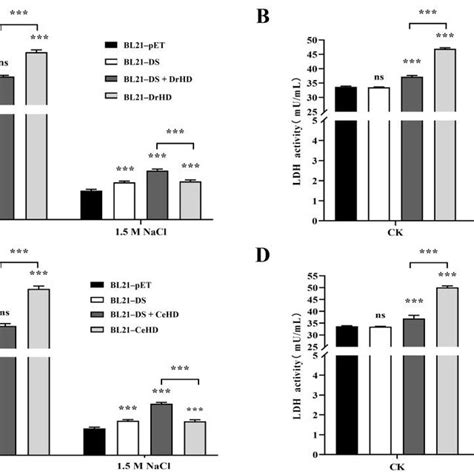 Lactate Dehydrogenase Activity Analysis A Analysis Of Lactate