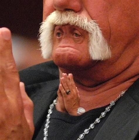 Hulk Hogan Beard Meme