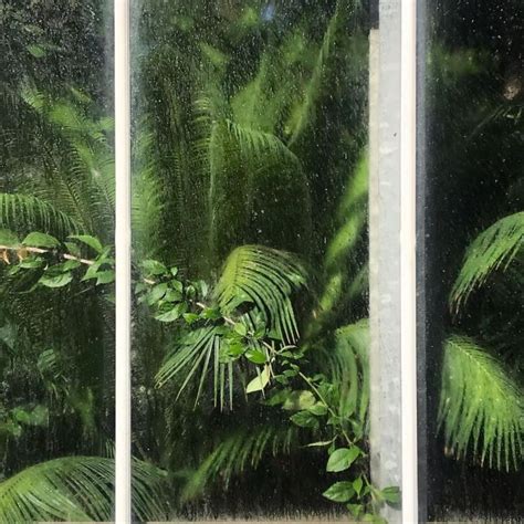 Greenhouse On Tumblr