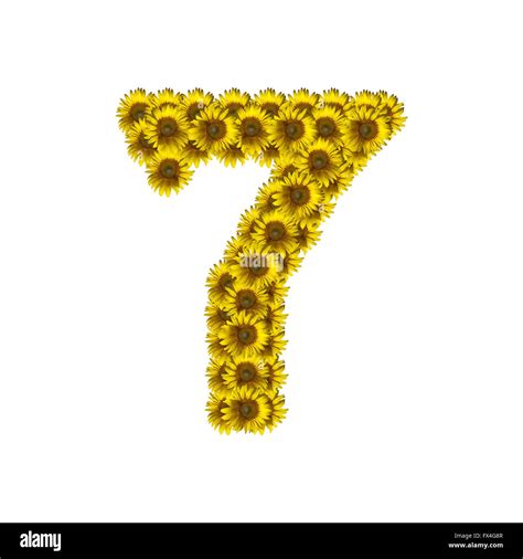 Number Cut Out Stock Images Pictures Alamy