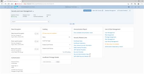 Password Policies In Hana Db Sap Security Pages
