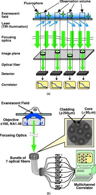 Multipoint Fluorescence Correlation Spectroscopy With Total Internal