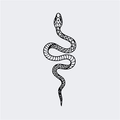 Snake Curve Theprimeink