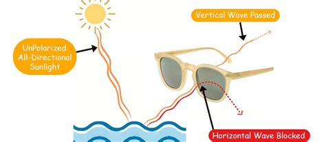 How Are Polarized Sunglasses Lenses Manufactured Mpmgoggles