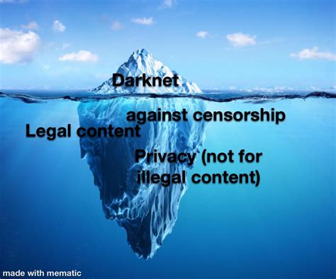 the tor browser r programmerhumor
