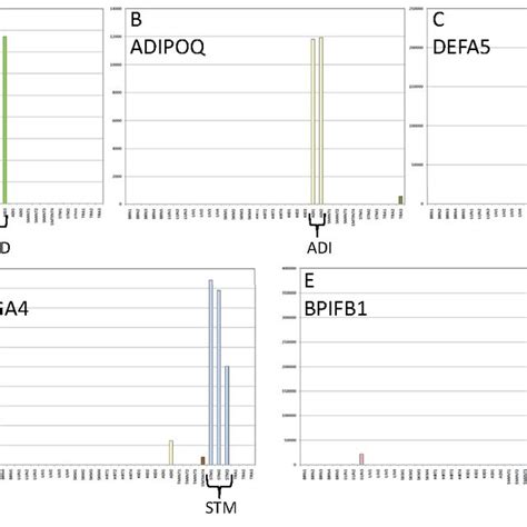 Tissue Specific Gene Expression Exemplified By Individual Gene
