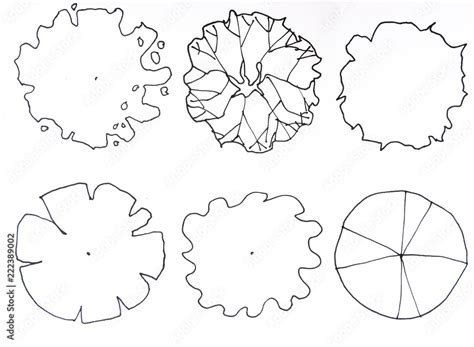 Top View Set Graphic Trees For Architecture And Landscape Design For Layout Of The Garden