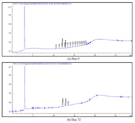 Chromatogram On Analysis Of Tph At Day 0 And 72 Using Gc Fid Download