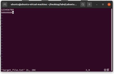 Seed Lab Buffer Overflow Attack Lab Server Versionseedlab Csdn缓冲区溢出