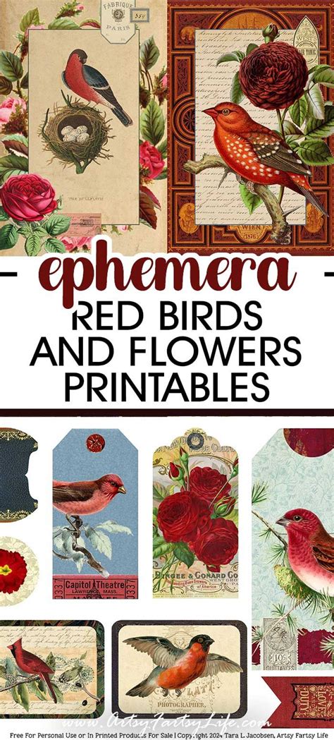 Red Birds And Flower Ephemera Free Printable Ephemera Artofit