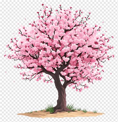 Pohon Sakura Merah Muda Bergoyang Tertiup Angin Pohon Sakura Yang