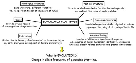 Evidence Of Evolution Lab Worksheet Answer Key