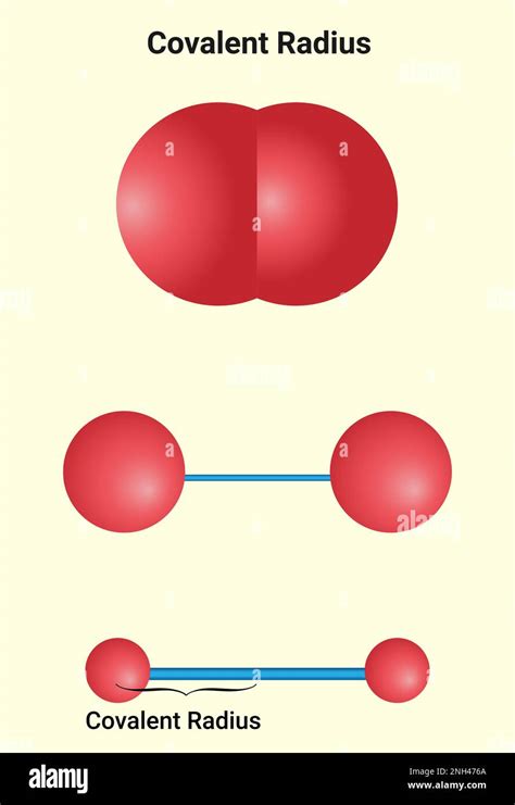 Covalent Radius The Covalent Radius Is Half Of The Distance Between