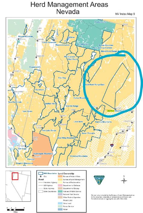 Blm Poised To Round Up The Majority Of Nvs Jackson Mountain Wild