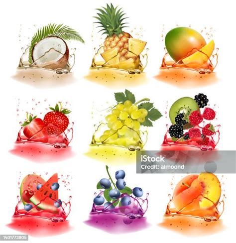 주스 튀김에 신선한 과일과 열매 세트 파인애플 딸기 라즈베리 블랙 베리 코코넛 블루 베리 망고 수박 키위 벡터 과일에 대한 스톡