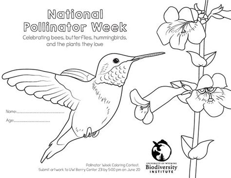 National Pollinator Week Coloring Pages