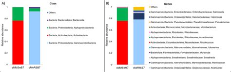 The Composition Of Bacterial Consortia Bar Plots Displaying Relative