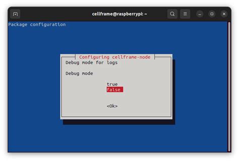 Running Your Own Cellframe Node On Raspberry Pi The Easy