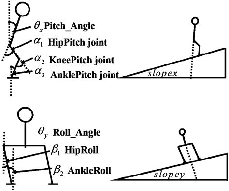 Method For Realizing Self Adaptive Walking Framework Of Anthropomorphic Robot Based On Cpg