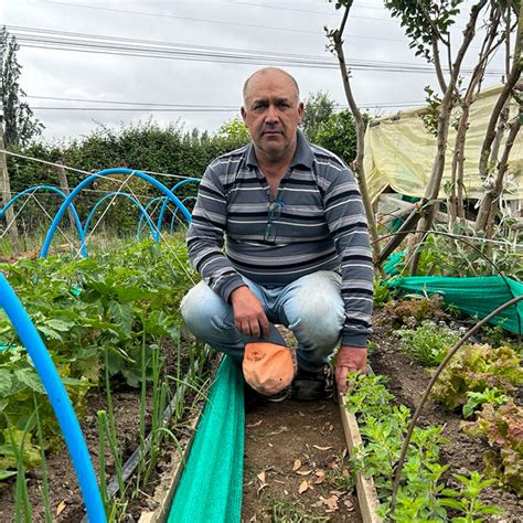 Camilo Acevedo Productores De Pichidegua