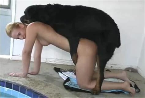 【閲覧注意】大型犬とセ クスさせられた女さん、ヤバい事になってしまう ポッカキットポッカキット