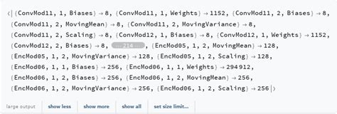forknet brain segmentation net wolfram neural net repository