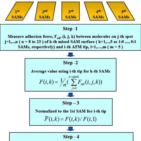 Schematic Diagram Of A Typical Afm Force Distance Curve Download