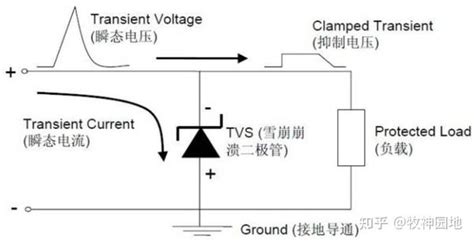 半导体器件基础04：稳压二极管和tvs管 知乎