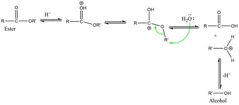 Ester Hydrolysis Easy Introduction With 8 Mechanisms Chemistry Notes