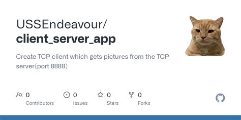 Github Ussendeavourclientserverapp Create Tcp Client Which Gets