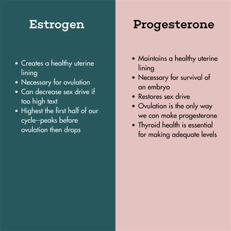 Understanding Estrogen Progesterone Hormone Healing RD