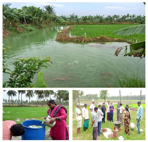 Machine Learning Reveals Accelerated Vegetation Decline In Central Asia Arabian Post Kuwait