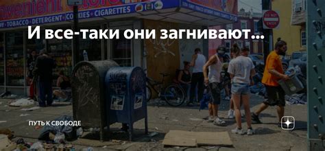И все-таки они загнивают... | Путь к свободе | Дзен