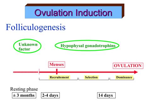 Optimal Protocols For Ovulation Induction Assisted Reproductive