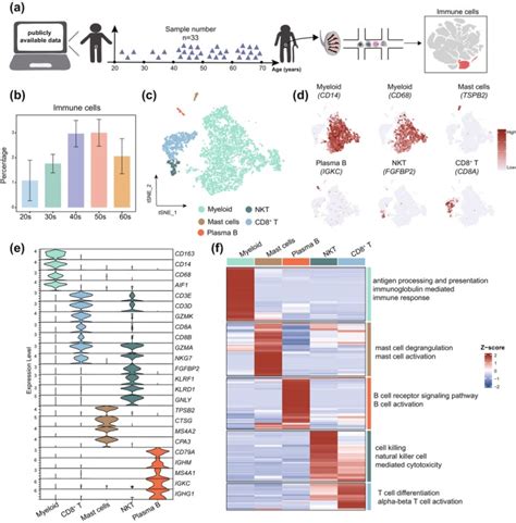 A Single‐cell Transcriptome Atlas Characterizes The Immune Landscape Of Human Testes During