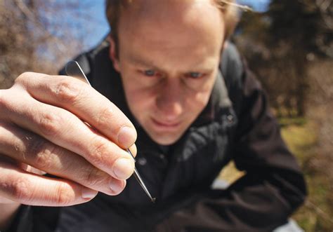 CRISPR Gene Drives And The Future Of Evolution The Scientist