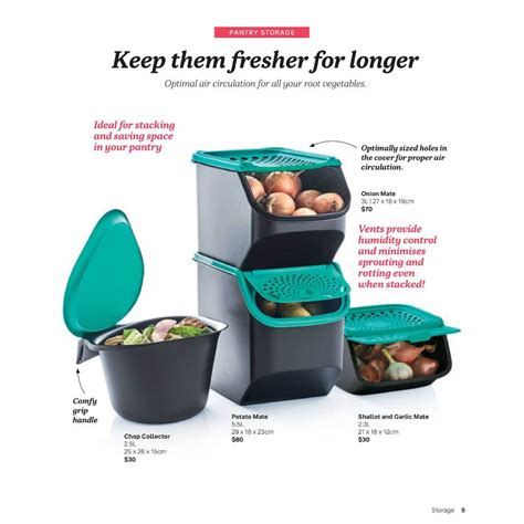 Tupperware Garlic N All Keeper Garlic And All Keeper Bekas Bawang