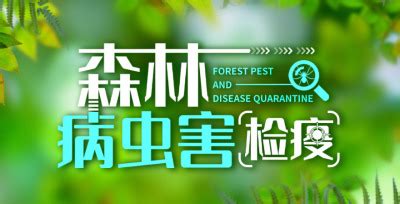 森林病虫害检疫—智慧树网