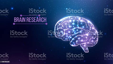 인간의 뇌 연구 와이어 프레임 낮은 폴리 스타일 의료 뇌암 신경망에 대한 개념 진한 파란색 배경에 추상 현대 3d 벡터 그림 연결에 대한 스톡 벡터 아트 및 기타 이미지